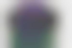 $2,600 Children's Computers : Little Tikes Young Explorer