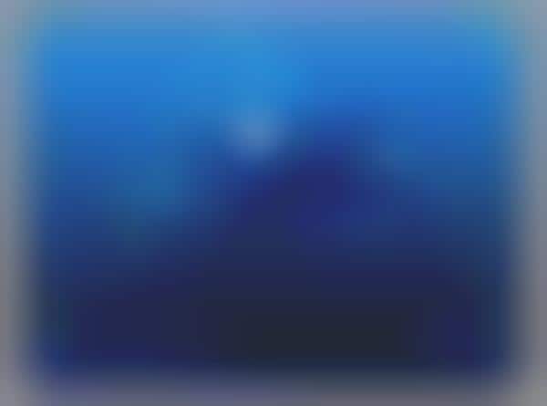 31 Examples of Underwater Transportation