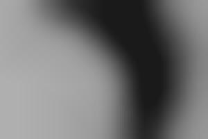 Stegosaurus Fashiontography : julia soler