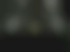 Ghost Tribute Art : hanako san terror of the toilet