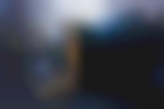 100 Contemporary Curvilinear Structures