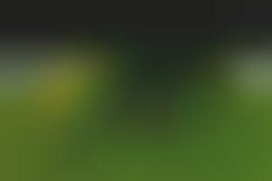 Lawnmower Superbikes : Solif Concept Motorcycles