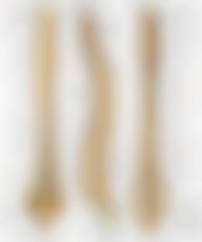 17 Spinal Cord Creations