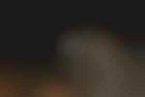 Stunt Car Photography : John Piccin Photo Collection