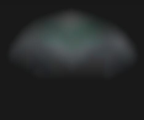 Luxury Frog Watches : mbf frog watch