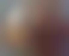 Cockpit Cubicles : Clipper CS-1