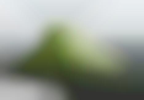 Lacy Hillitecture : Lacy Hill