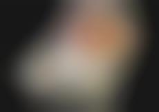 Three Course Dinnerware : Trio Plate