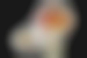 Three Course Dinnerware : Trio Plate