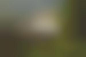 Curvy Swing Sets : Curl Playground Swing