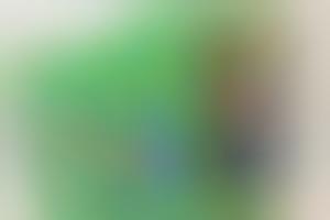 PC Pet Beds : Computer Monitor Cat Bed