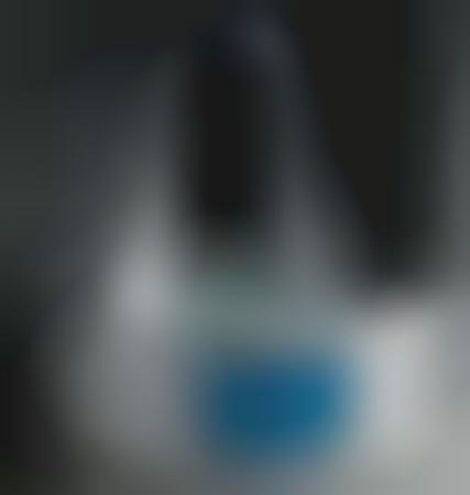 Multipurpose Home Spas : Gemys All-In-One Massage Shower and Bath Tub