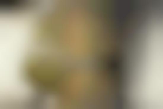 Tree-Mounted Urinals : The P-Tree