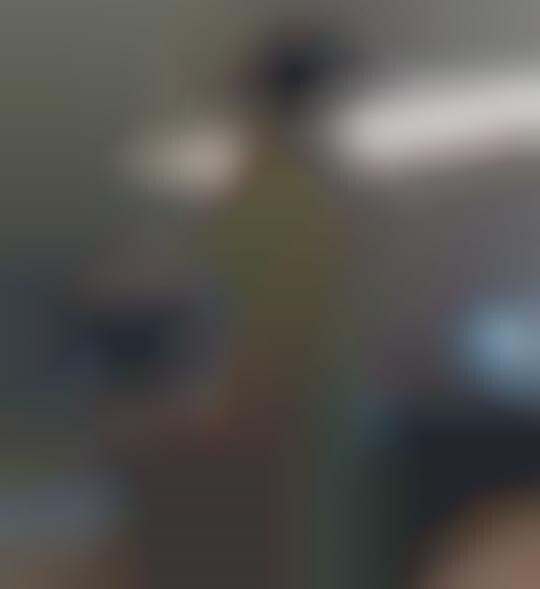 100 DIY Holiday Gift Ideas