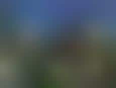 Triangular Eco Homes : Aamer Architects The Merlimau House