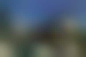 Triangular Eco Homes : Aamer Architects The Merlimau House