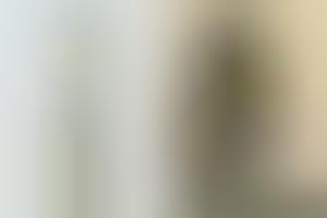 Sustainable Solar Skyscrapers : Eco-Tower Building