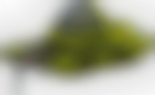 31 Examples of Underwater Transportation