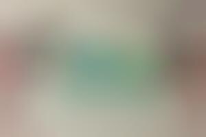 Handheld Console Mods : portable Wii