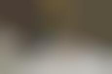 Inkmaster Editorials : Inked Girl Eva Huber