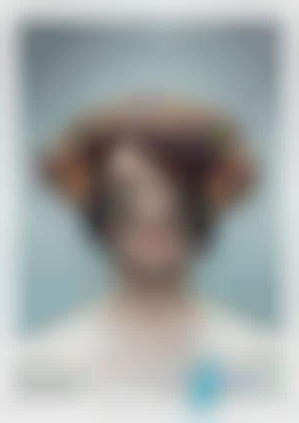 85 Persuasive Portrait Ads