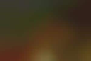 Anti-Bloating Beer Campaigns : Skol Blowfish