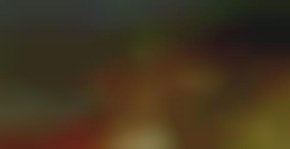 Anti-Bloating Beer Campaigns : Skol Blowfish