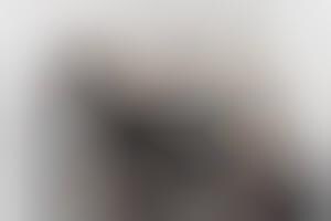 Futuristic Tracksuits : local firm weekday