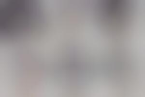 Shady Lady Illustrations : Tom Bagshaw