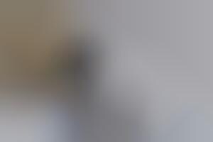 Humanimal Cartoon Hybrids : Antoine Helberts Beautiful Mutants