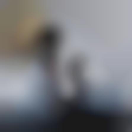 Humanimal Cartoon Hybrids : Antoine Helberts Beautiful Mutants