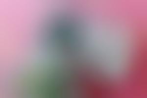 Nostalgic Gamer Suds : game boy soap