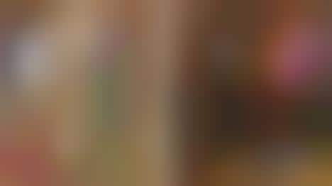 Regifted Dye Ads : dylon fabric print campaign