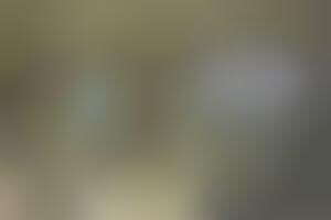 Pimped Train Travel : Business Class Train