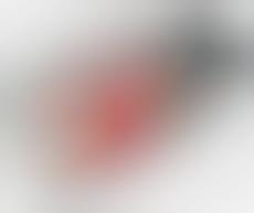 Sushi iPhone Sleeves : bento box japanese cuisine gadget case