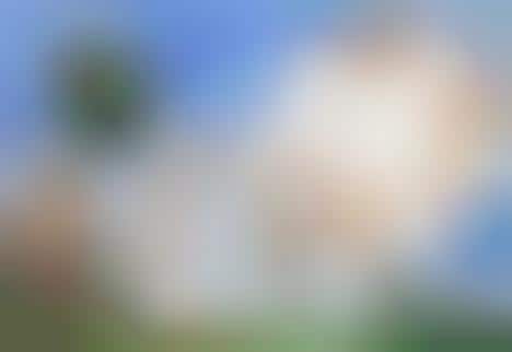 Cow-Powered Server Farms : Manure Fueled Data Centers