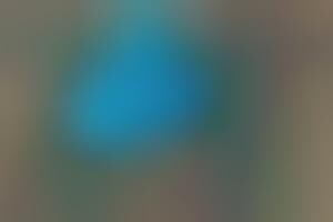 Sick Currency : Ailing Economy