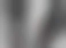 Switchblade Mobile Phones : LG Flutter