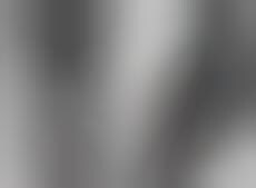 Switchblade Mobile Phones : LG Flutter