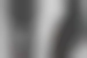 Switchblade Mobile Phones : LG Flutter