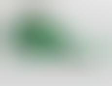 Dutch Booze Shoes : Reebok Pump Lite Heineken