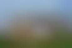 Concert Stage Homes : Open Air Stage Piberstein by SOLID Architecture