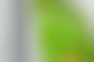 Jelly Food Storage : Gel Bio Robot Fridge