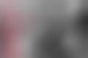 Album Art Shows : Tracey Emin, Ray Lowry