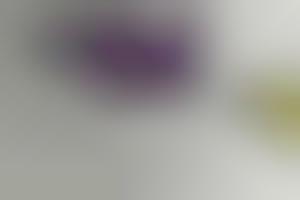 Pop Art Decals : blik keith haring