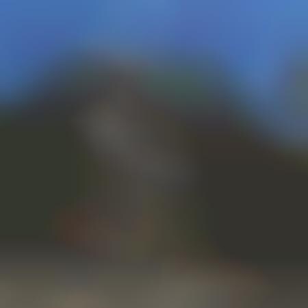 45 Patterned Architectural Structures