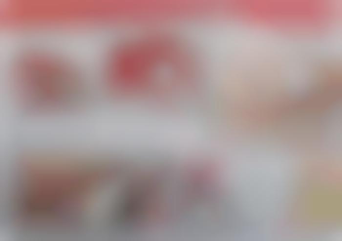 Dinosaur Meat : Bosche Stone-Age-Meat