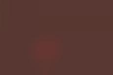 Rooftop Farmed Preserves : Anarchy in a Jar