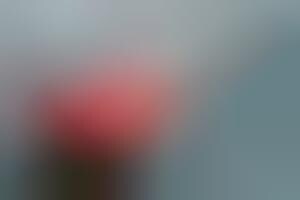 Bionic Life Savers : EMILY the Robot Lifeguard