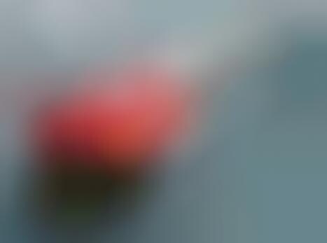 Bionic Life Savers : EMILY the Robot Lifeguard